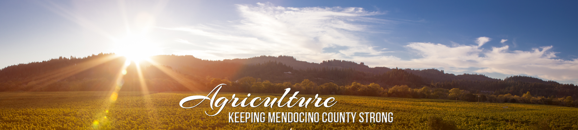 Mendocino County Farm Bureau – Protecting and promoting agricultural ...