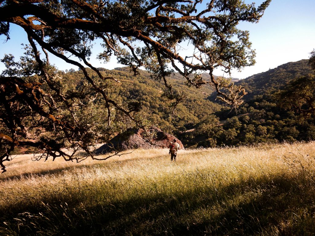 Volunteer & Support - Mendocino County Farm Bureau