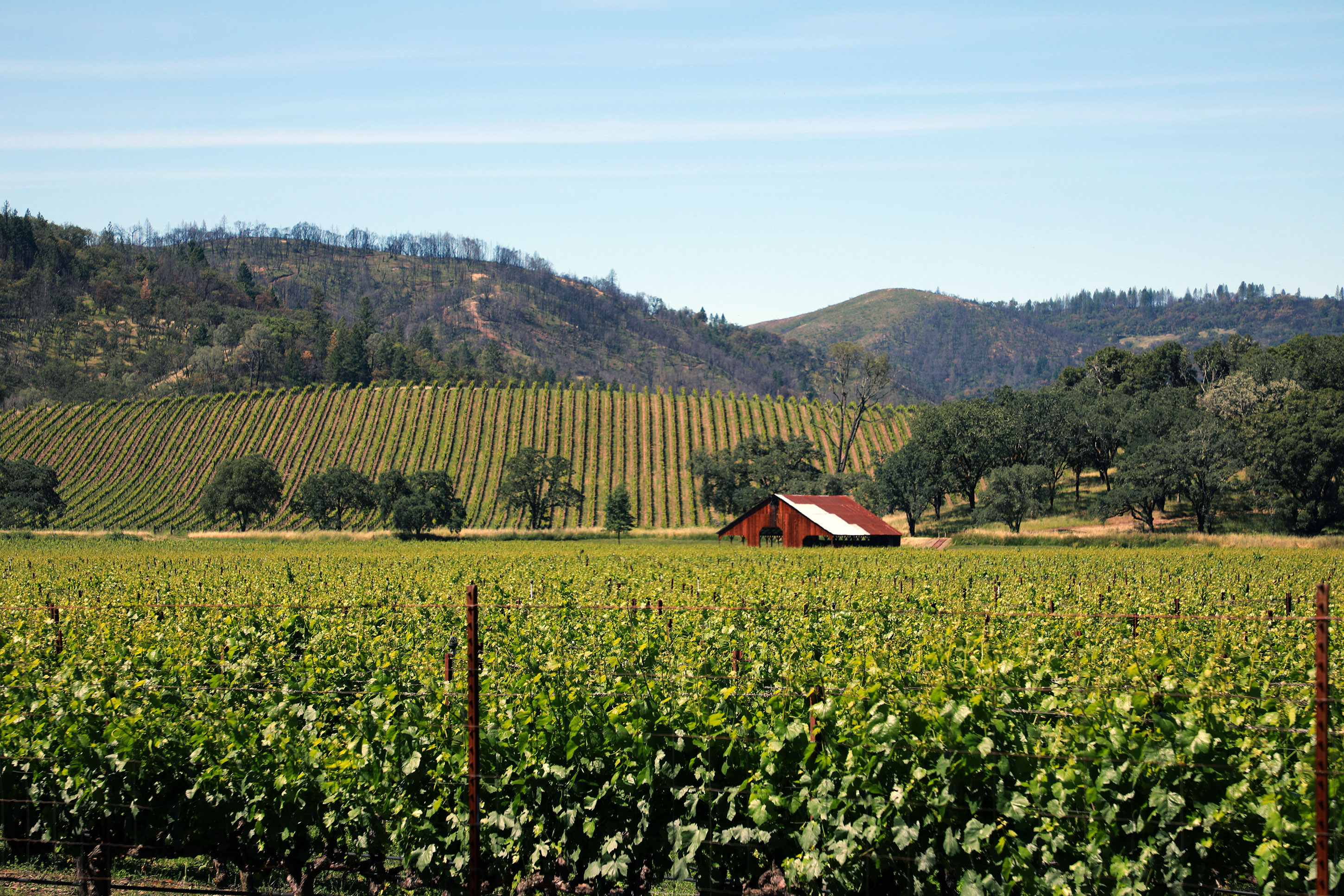 Contact Us - Mendocino County Farm Bureau