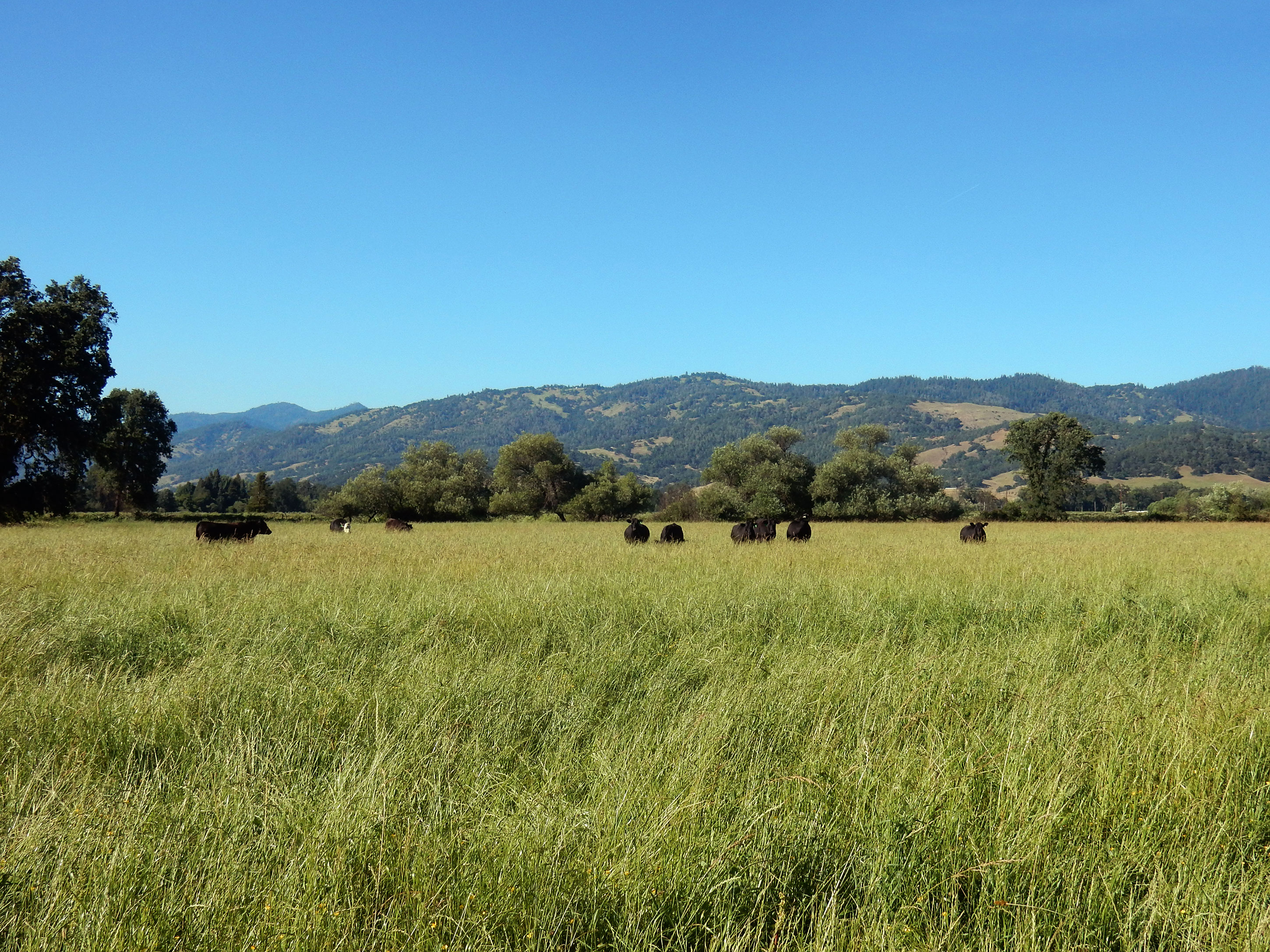 Advocacy - Mendocino County Farm Bureau
