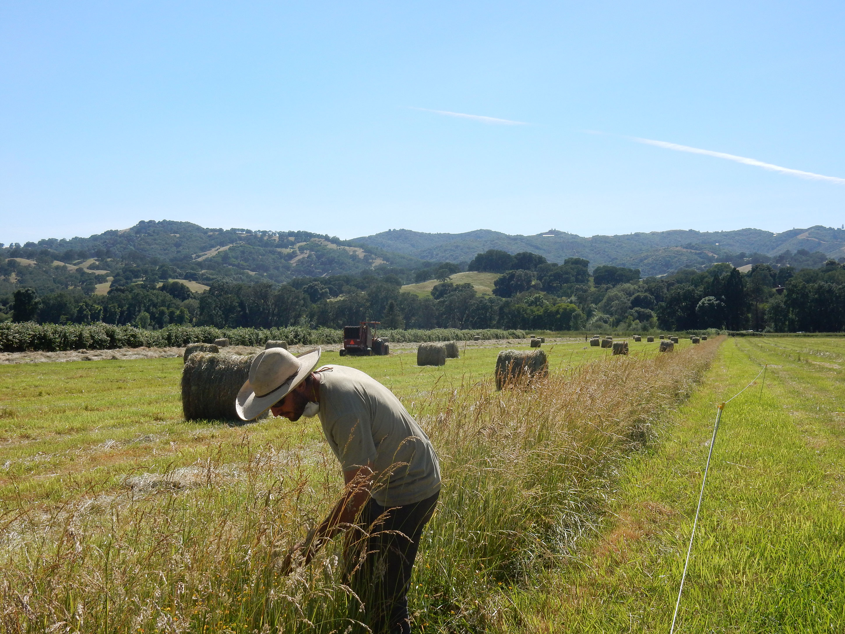 Membership - Mendocino County Farm Bureau