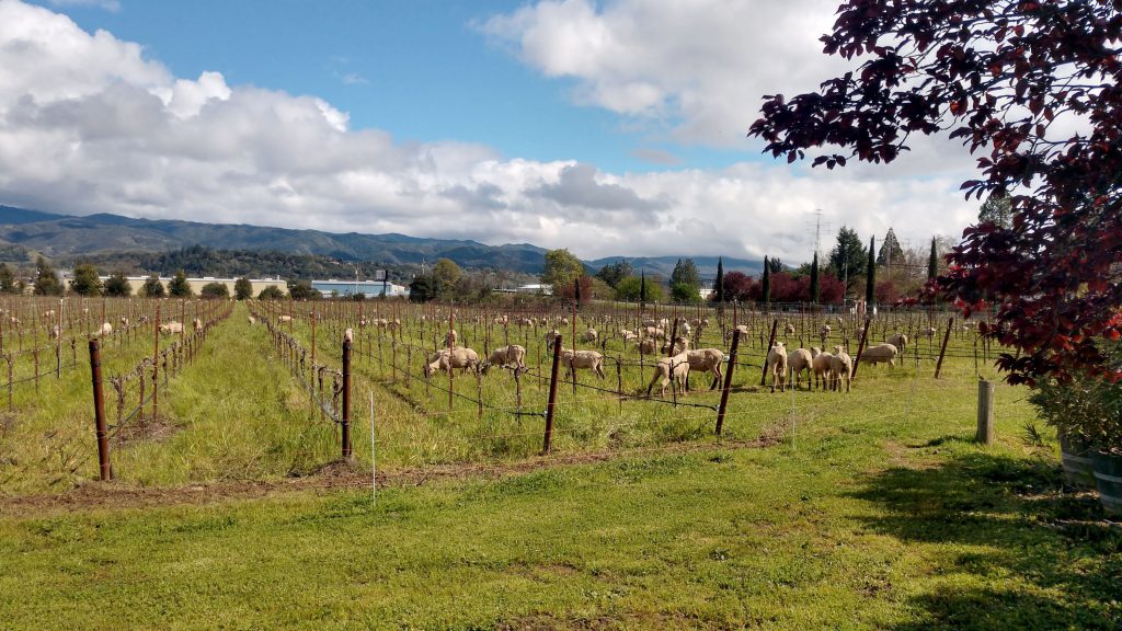 Land Use - Mendocino County Farm Bureau