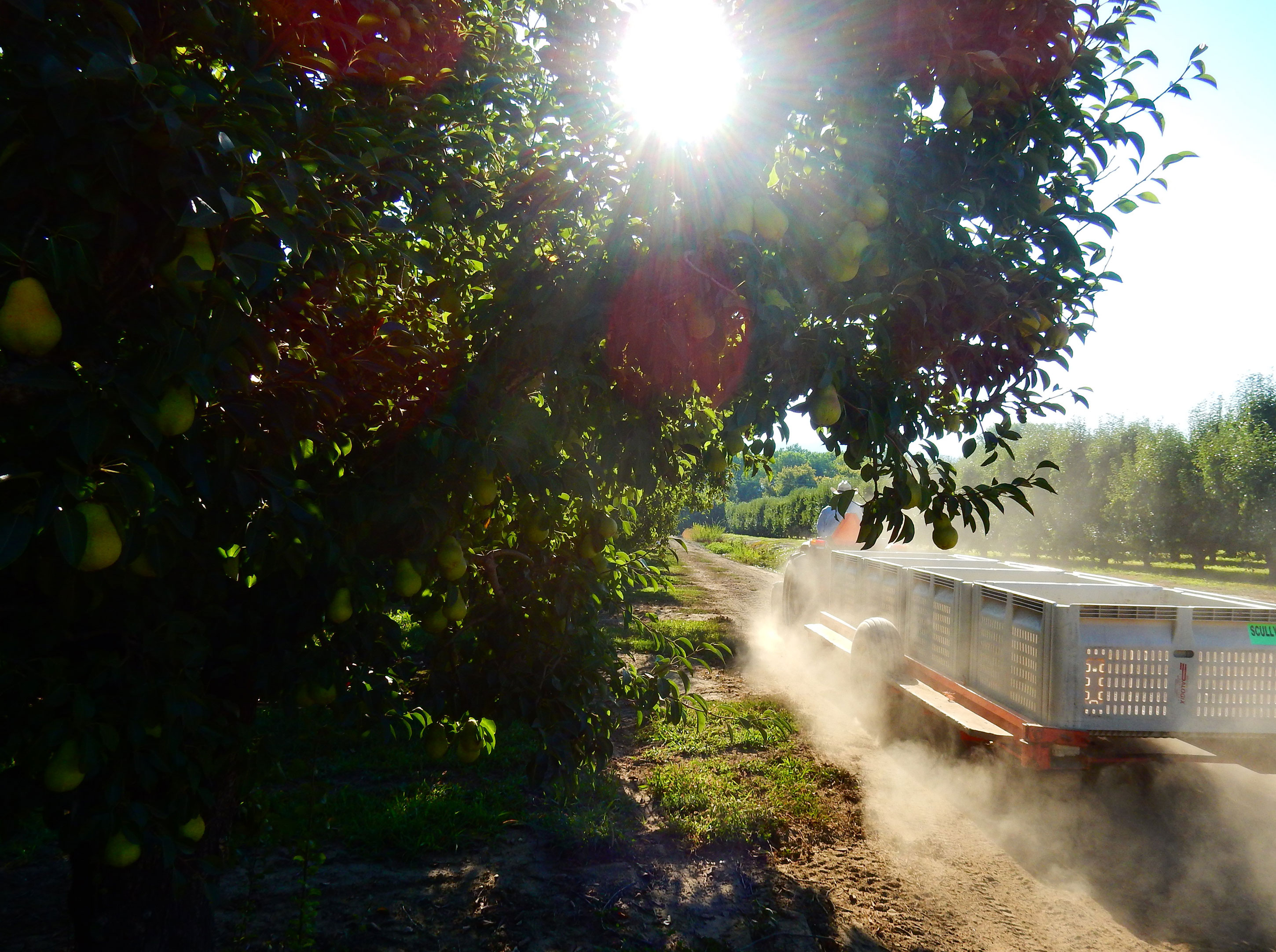 Agriculture’s Impact on Mendocino County - Mendocino County Farm Bureau