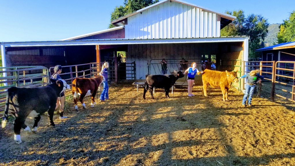 Ag Education - Mendocino County Farm Bureau